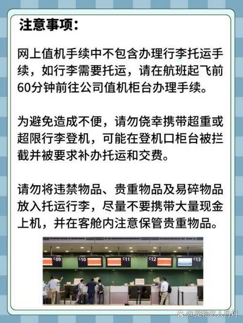 春秋航空托运图标