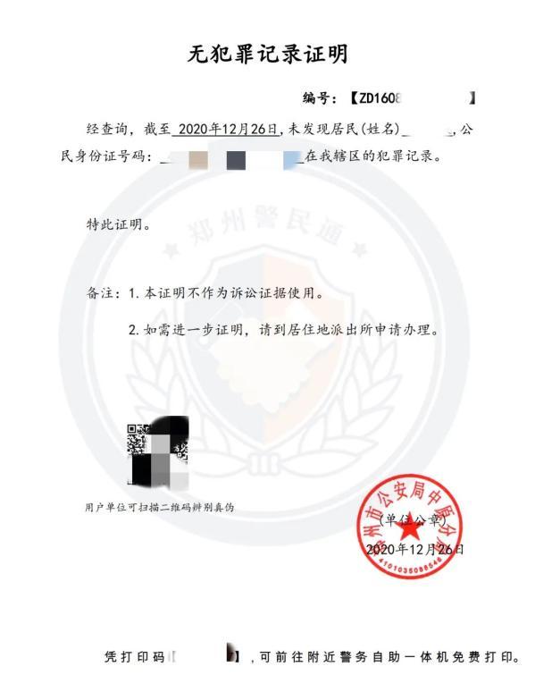 河南公安无犯罪证明图标