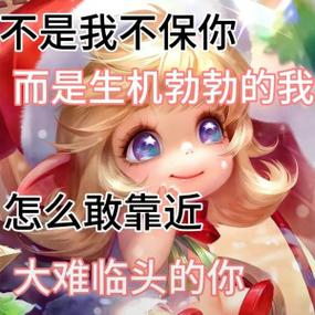 王者荣耀表情设置图标