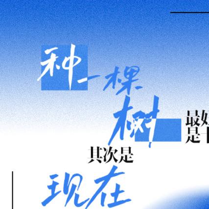 多少能量可以种一棵树截图