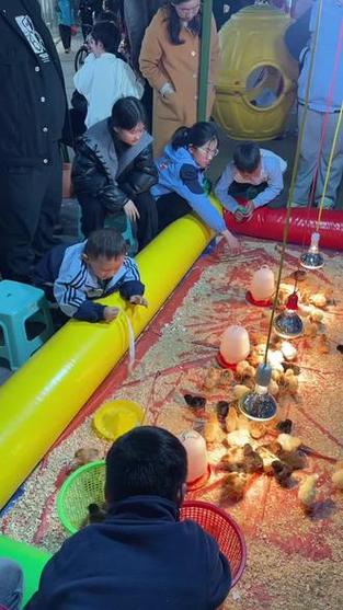 适合长期摆地摊的项目图标