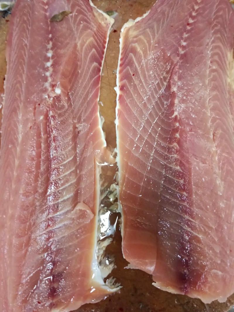 鲤鱼肉图标