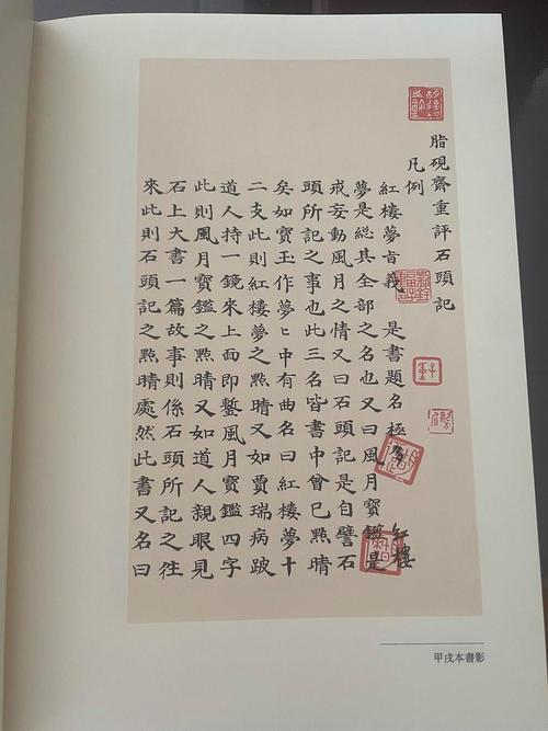 斋书苑手机版截图