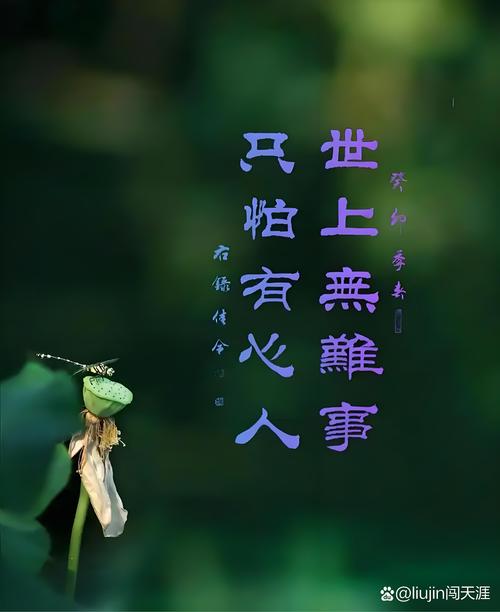 发消息只显示感叹号没有提示图标