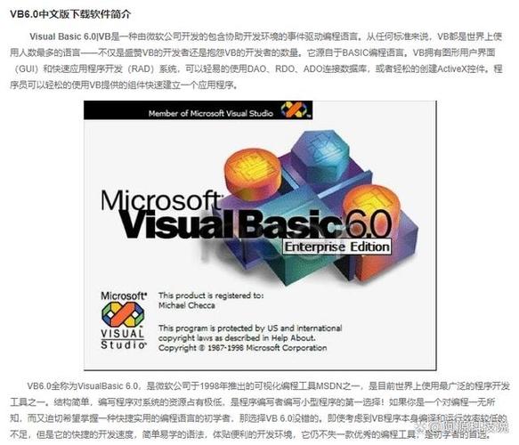 VB6.0图标