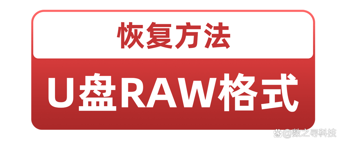 u盘变成了raw怎么修复图标