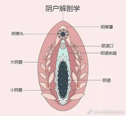 女生回复嗷是什么意思?图标