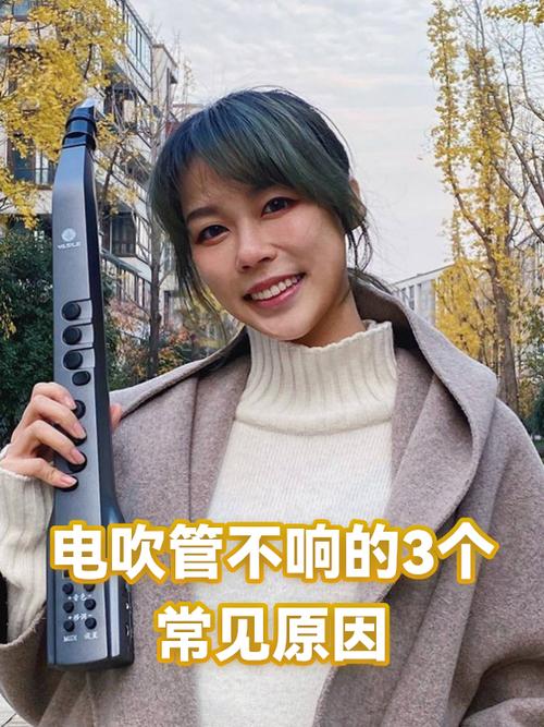 电吹管不吹仍然响什么原因图标
