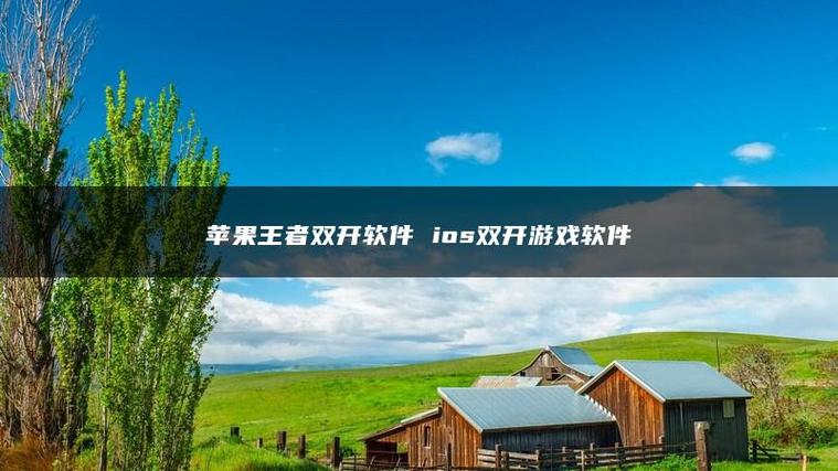 应用双开登陆王者荣耀