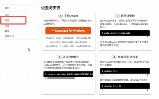 cpolar内网穿透图标