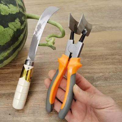 西瓜工具图标