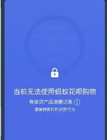 蚂蚁花呗能关闭吗图标