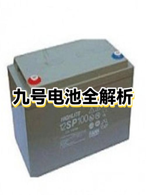 九号电动车的主控电池什么意思图标