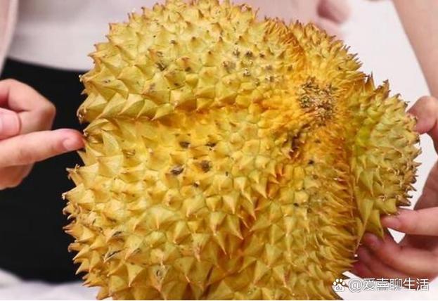 榴莲可以供佛吗图标