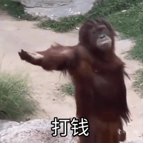 沙雕表情包无水印缩略图