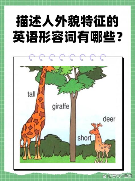 legislative可以形容人吗截图