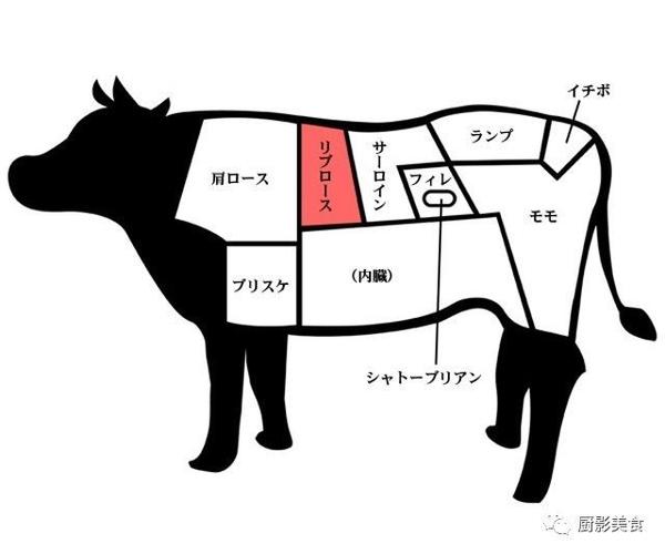日本和牛分解图