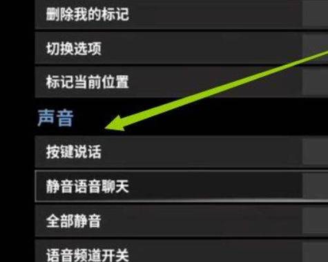 吃鸡语音怎么开图标