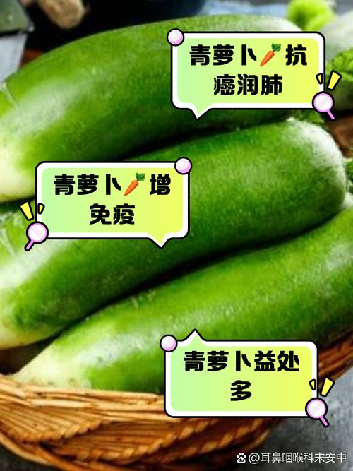 女人吃绿萝卜的好处图标