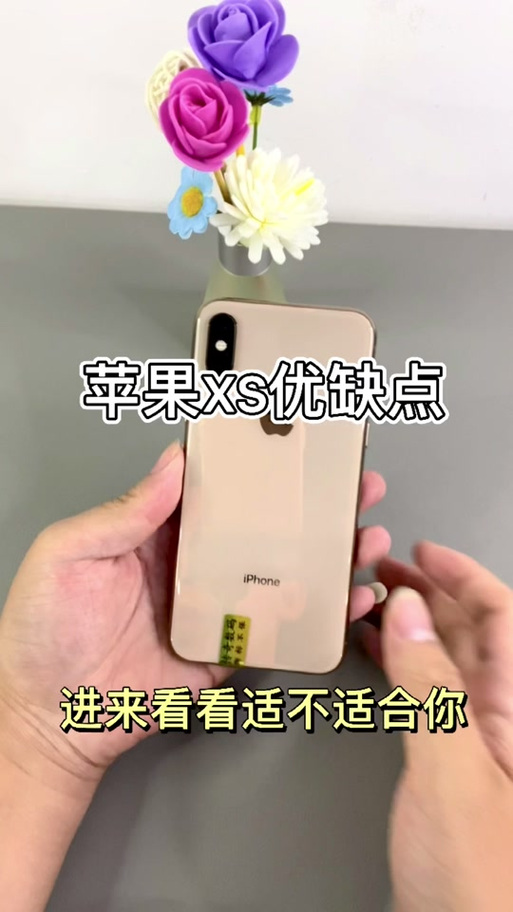 苹果xs广角镜头怎么开图标