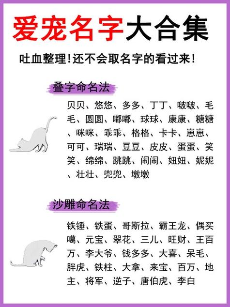 好听的带喵字的名字图标