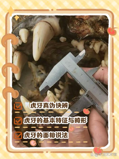 虎牙直播ipad开播教程图标