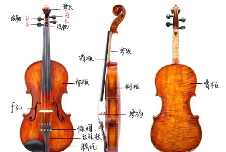 小提琴安装图解图标