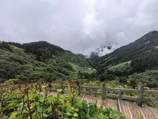 西岭雪山今日实况