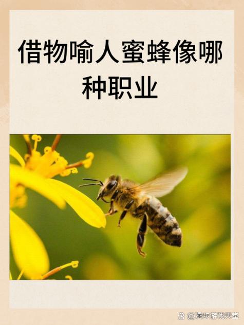 蜜蜂优借图标
