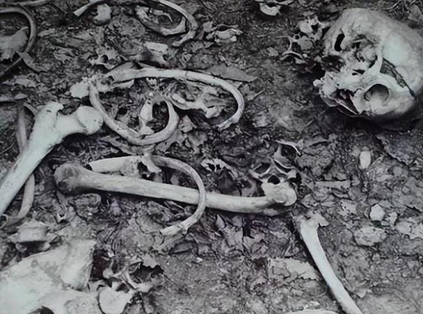 隐蔽的骸骨图标