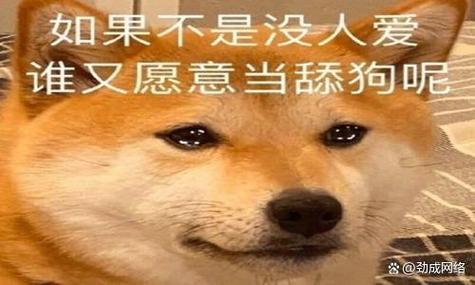 网络用语bj的含义图标