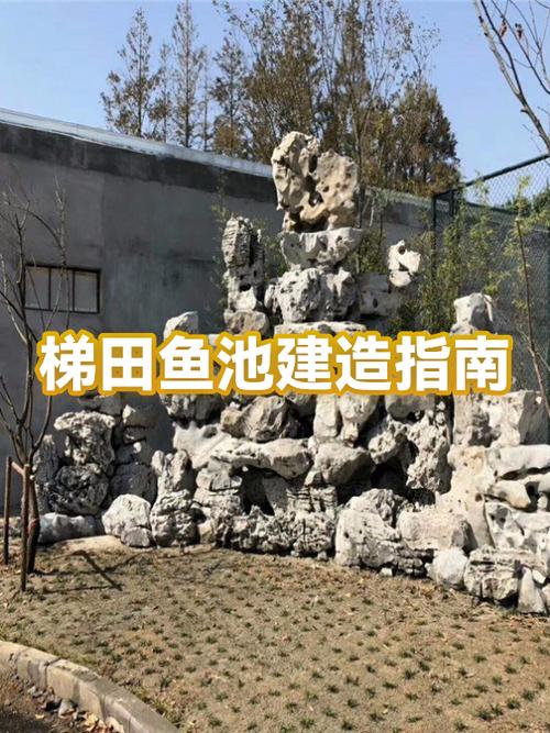 鱼池挖矿好还是星火矿池挖矿好图标