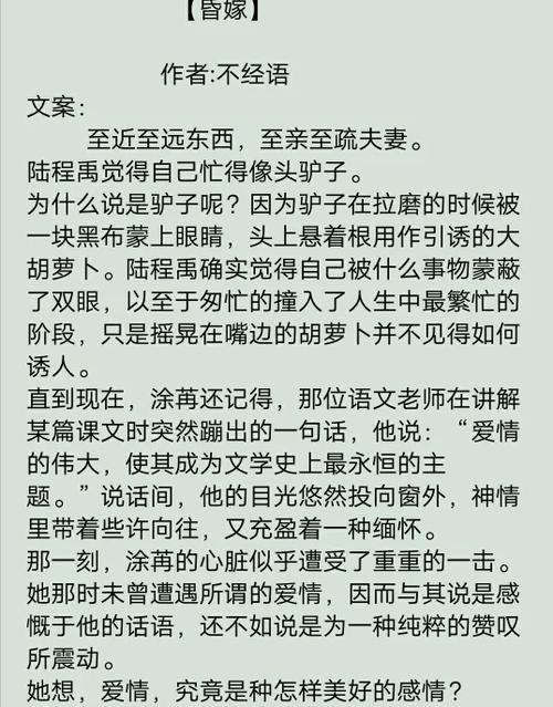 男主是医生女主是著名作家小说图标