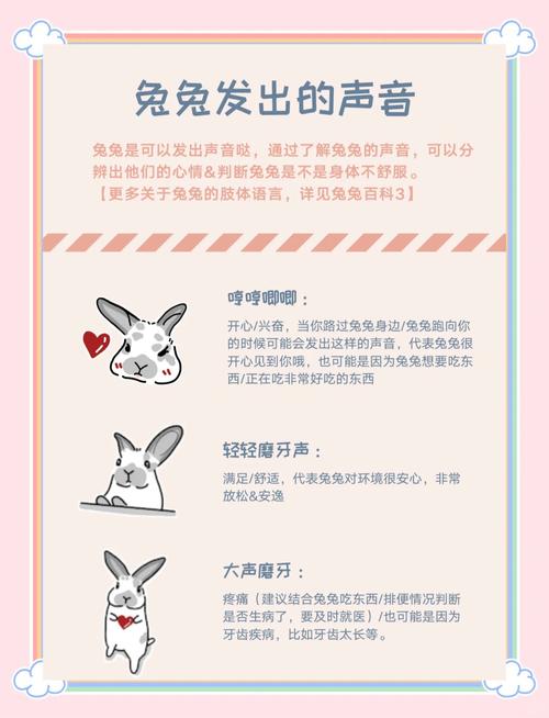 兔呼ios下载图标