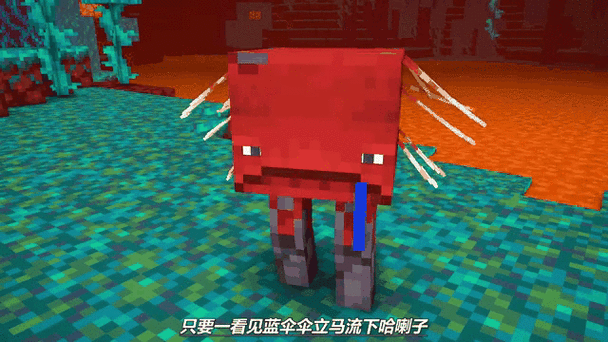 我的世界拳头血量
