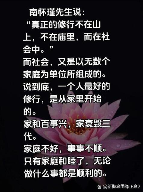 夫妻是金刚道友缩略图