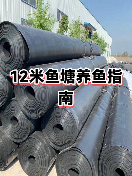 鱼塘养鱼的正确方法与技巧截图