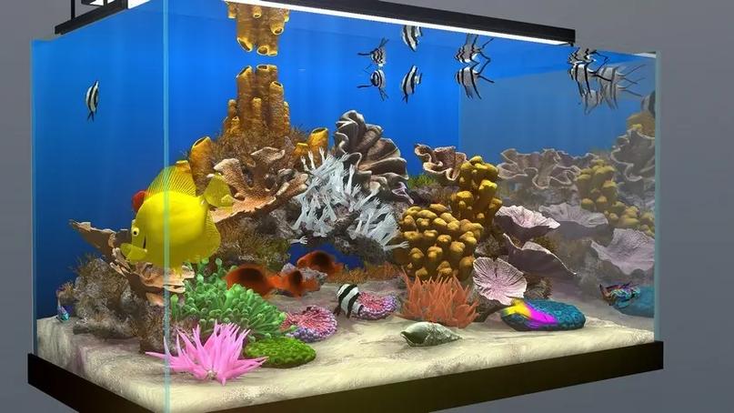 HTML鱼缸测试图标