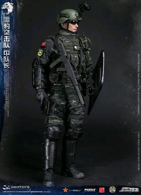 彩虹六号中国图标