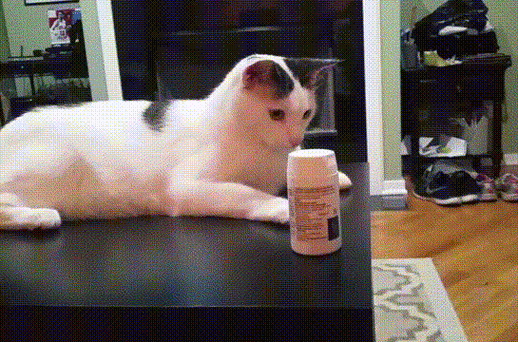 猫一直推我是为什么图标