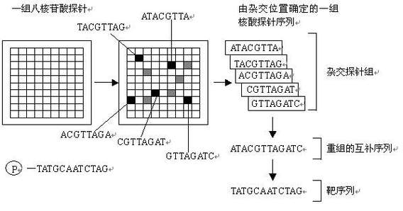 基因het图标