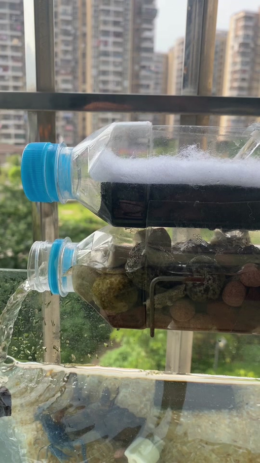 自制金鱼缸水循环图标
