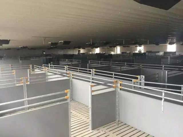 北欧农庄生猪养殖有限公司图标
