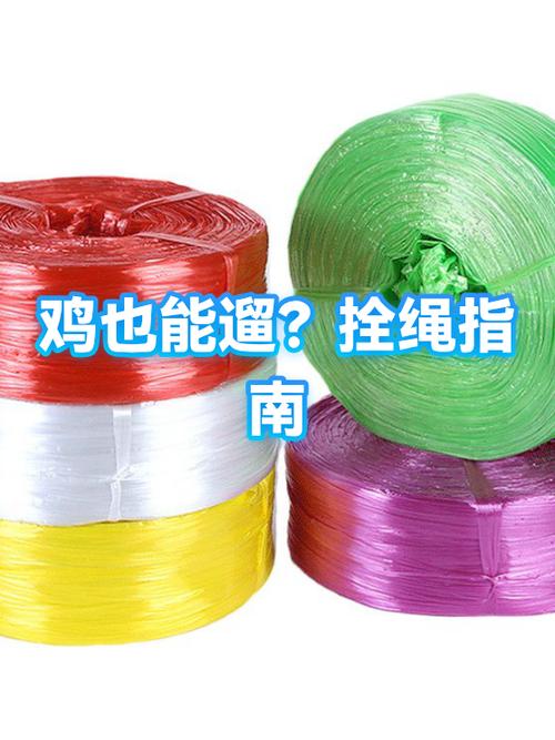 拴绳的实用应用图标