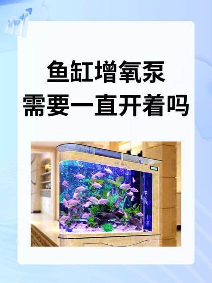鱼缸泵需要一直开着吗截图