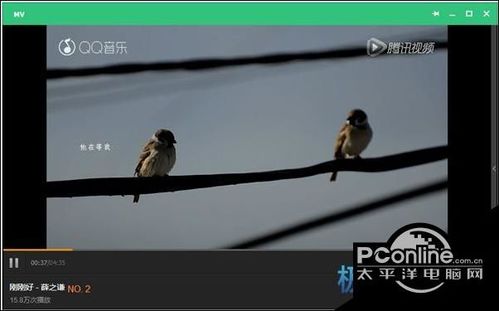 qq音乐mv怎么保存到相册图标
