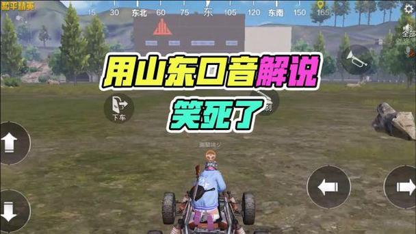 大山解说和平精英全集截图