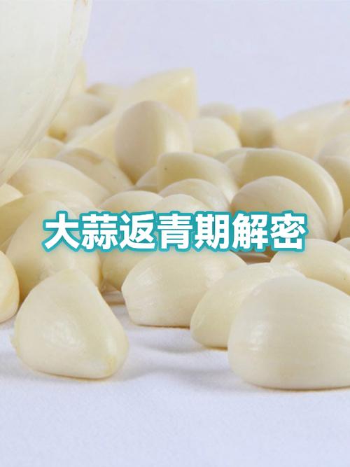 大蒜瓣是人体哪个部位图标