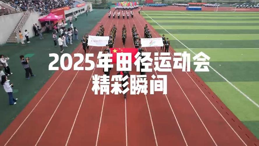 拍运动会用什么镜头好图标