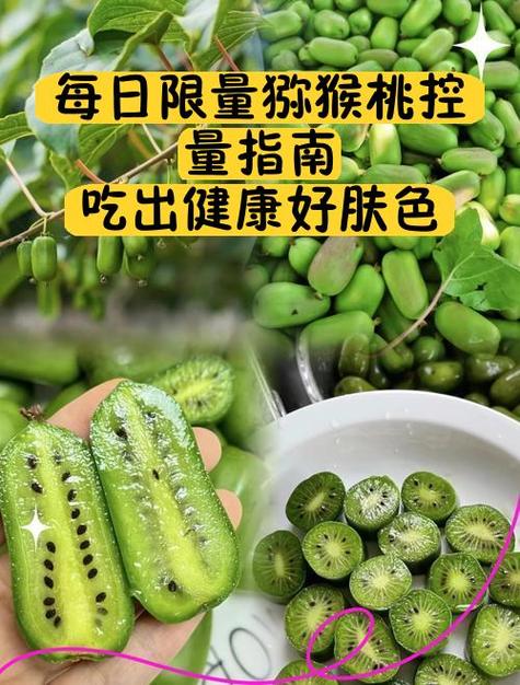 一天最多吃几个猕猴桃图标